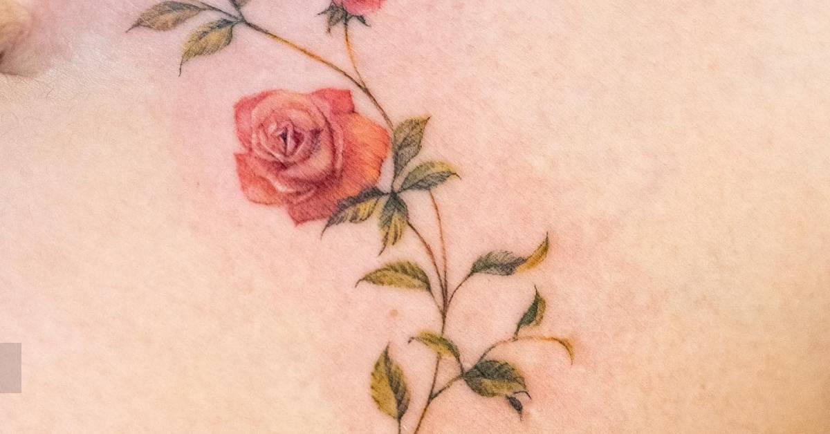 Red roses tattoo located on the waist, done in