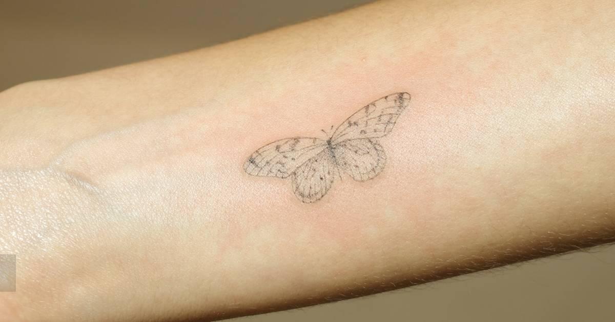 White Cabbage Butterfly Tattoos What Do White Butterflies Mean? Their