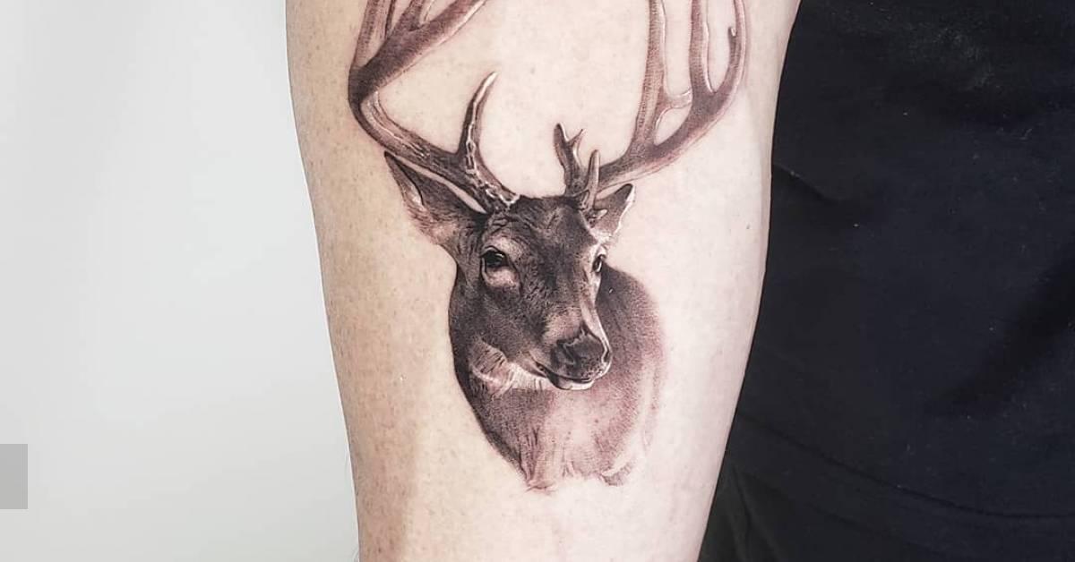 White-tailed buck tattoo on the inner forearm