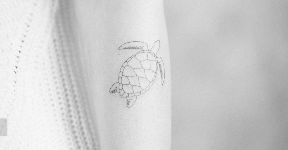 Turtle tattoo in fine line style placed on the forearm.