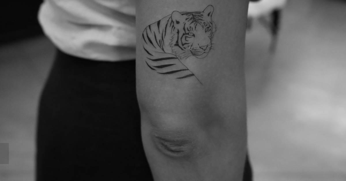 Tiger tattoo in illustrative style located on the