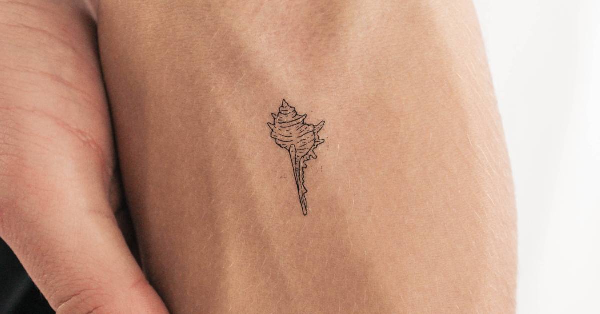 Tulip shell temporary tattoo