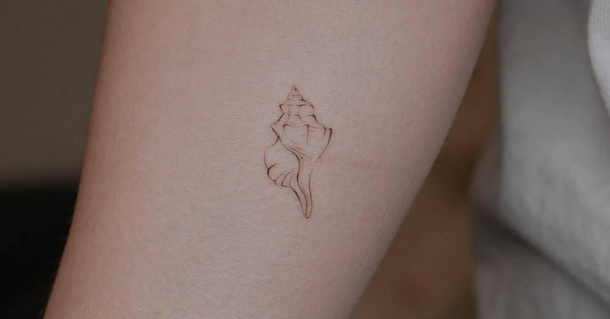 Tulip shell tattoo in fine line style placed on the