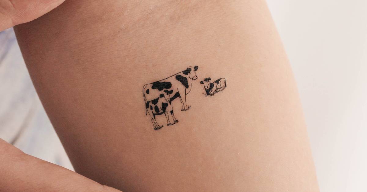Cow family temporary tattoo located on the inner