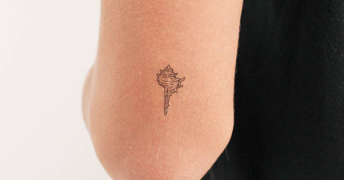 Tulip shell temporary tattoo