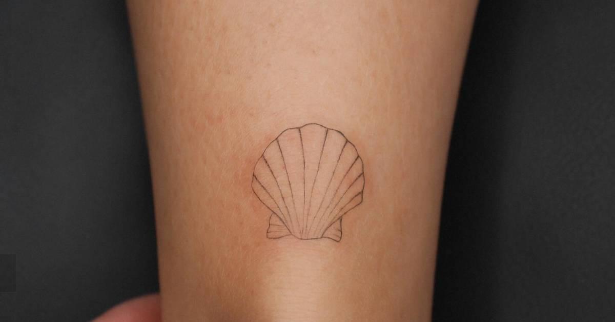 Fine line style scallop shell tattoo located on the