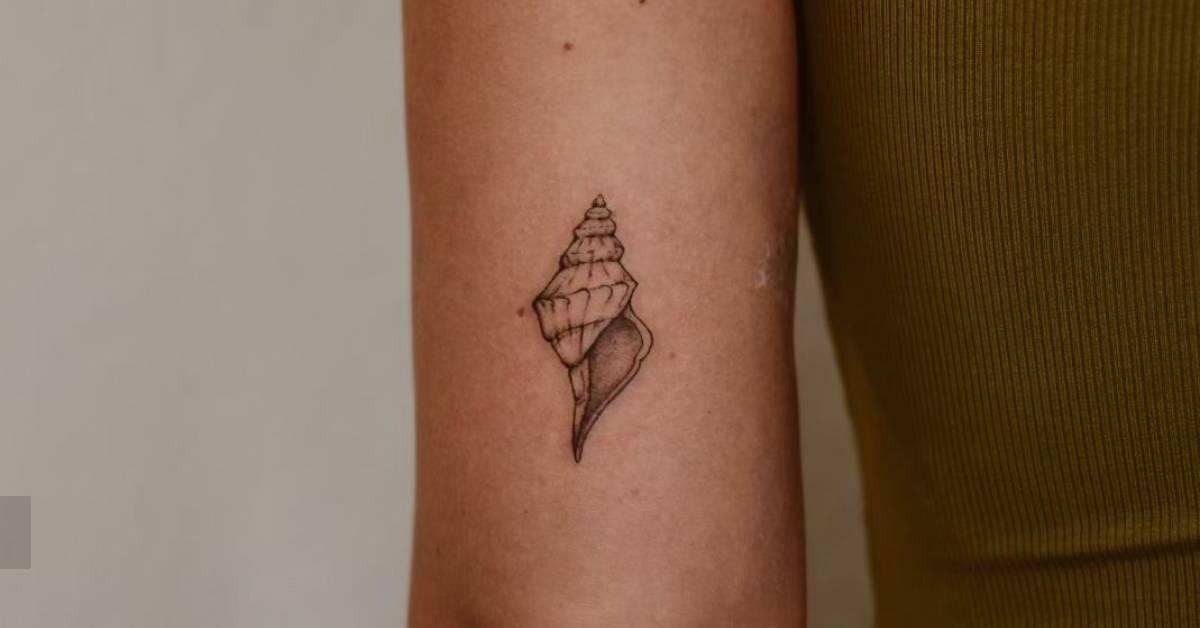 Illustrative style tulip shell tattoo done on the