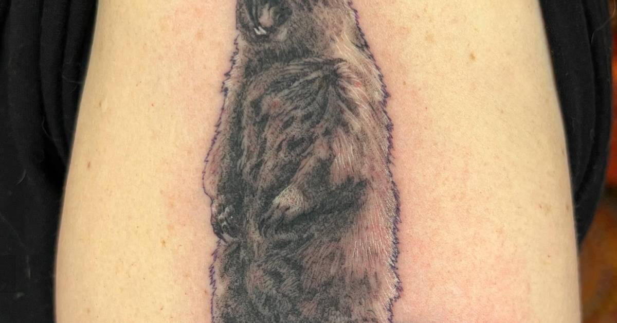 Screaming marmot tattoo located on the upper arm,