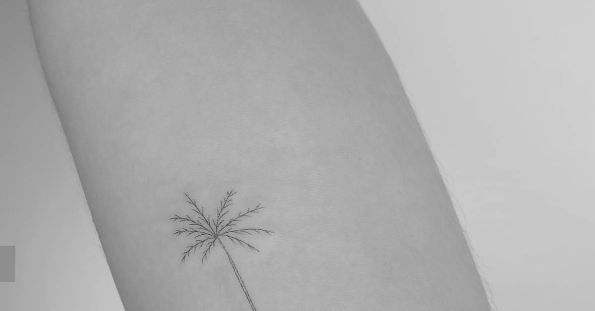 Palm tree tattoo in fine line style located on the