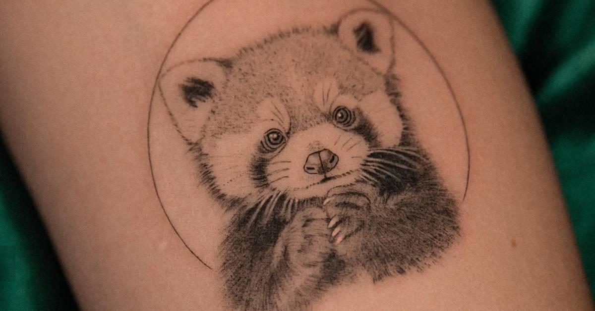 Red Panda Tattoos Art Immortal Tattoo : Tattoos : Carey Liu (MADISON)