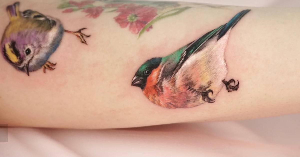 Realistic style finch tattoo located on the inner