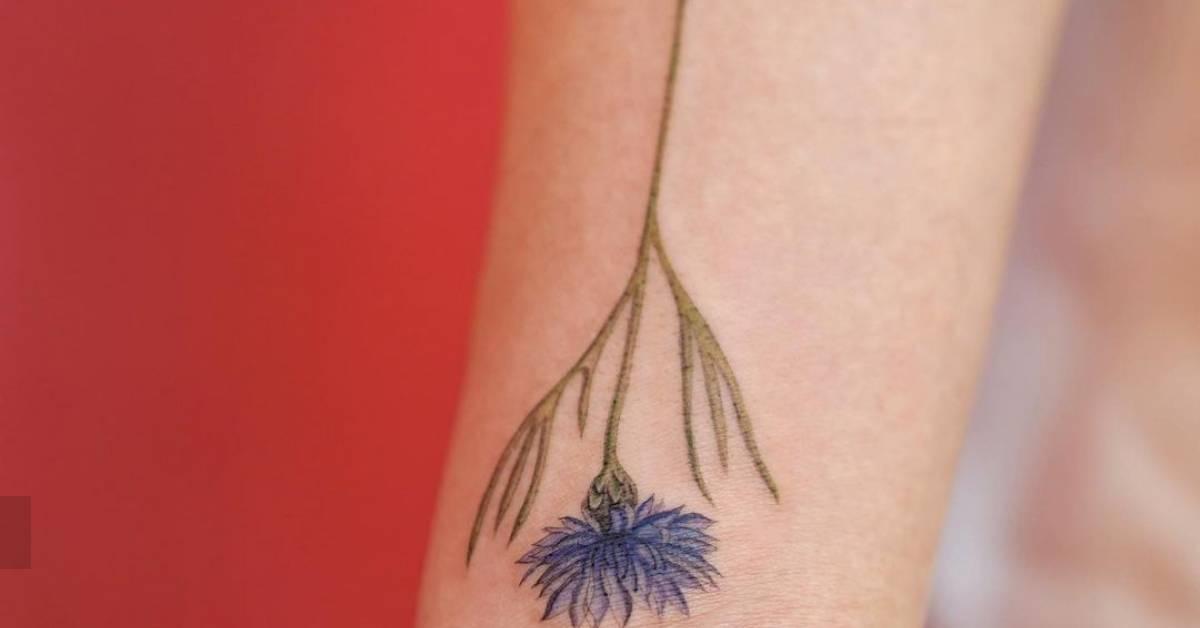 Cornflower tattoo located on the wrist.