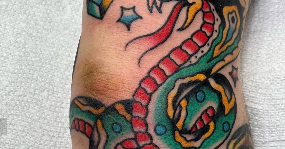 Snake tattoo in traditional style located on the elbow.