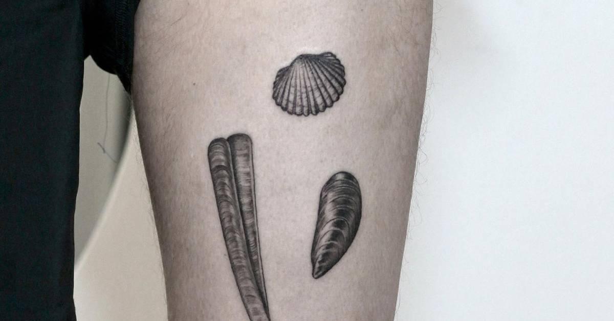 Illustrative style shell collection tattoo located on