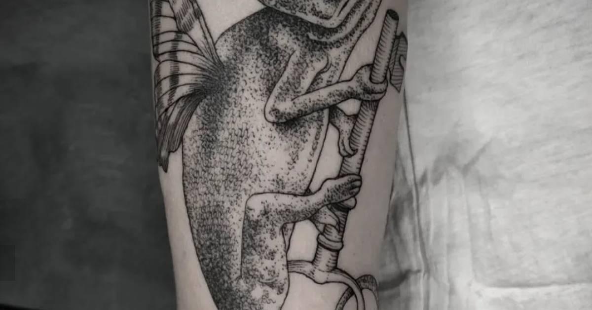 Adattarsi è la chiave (adaptation is the key).