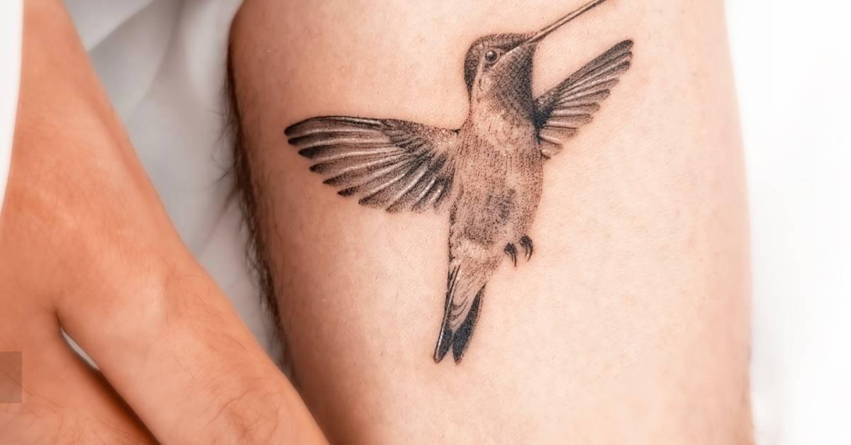 Hummingbird tattoo in micro-realistic style located on