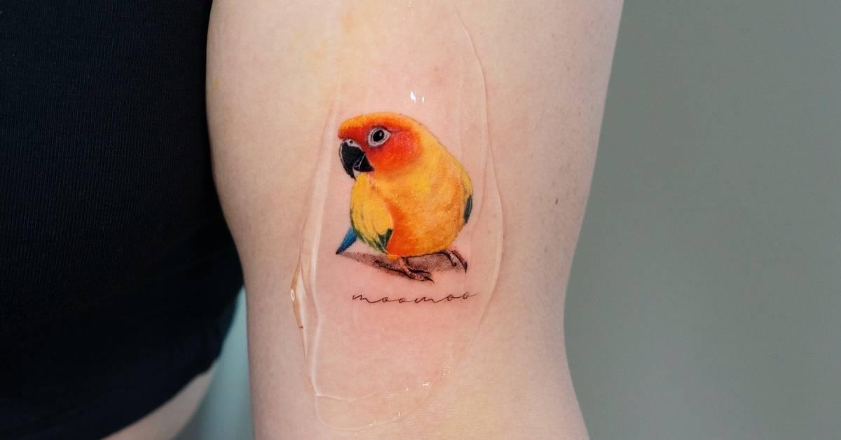 Parrot tattoo in micro-realistic style placed on the