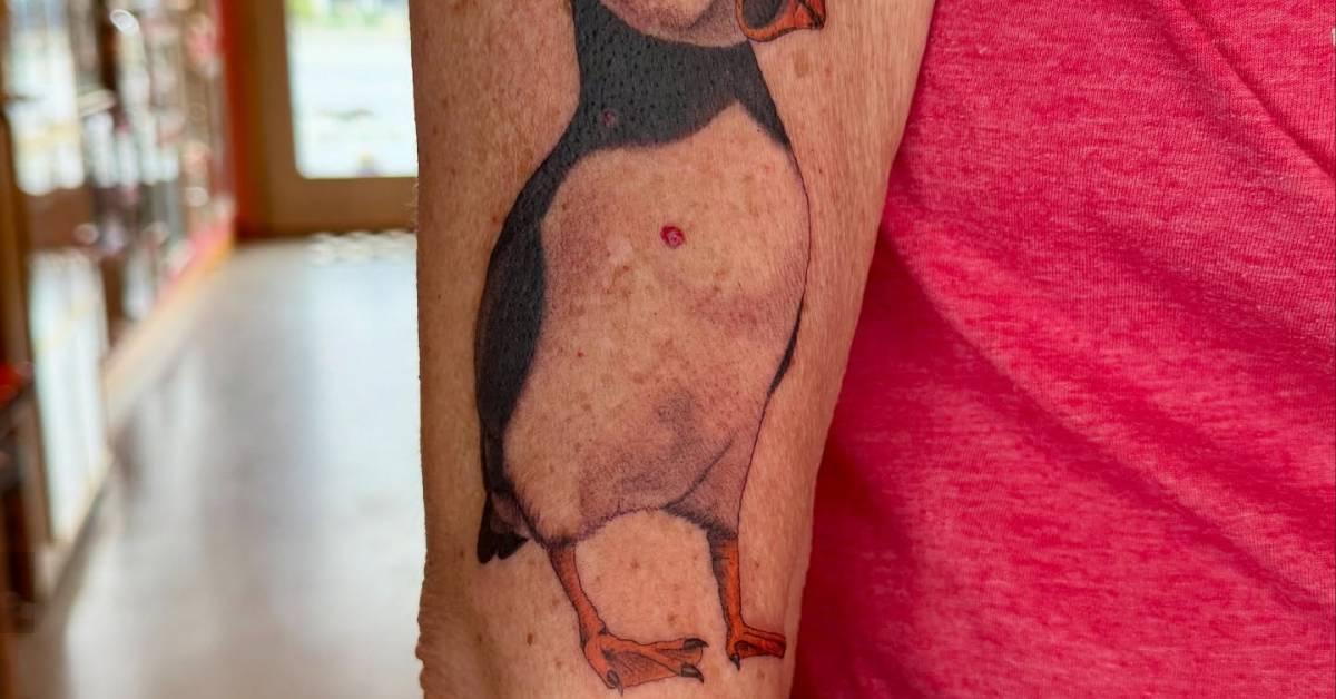 Puffin tattoo in illustrative style placed on the upper