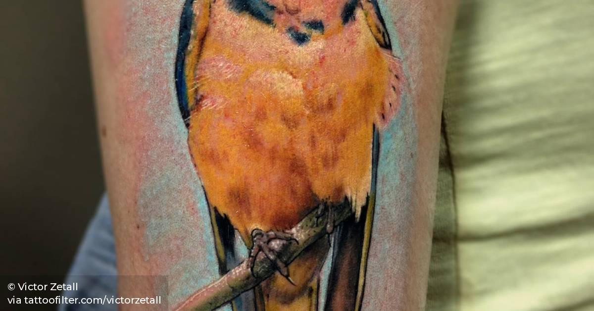 Realistic european robin tattoo on the right upper arm.