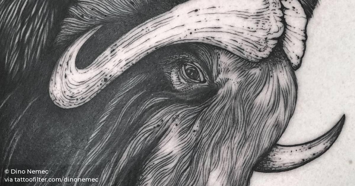 Muskox tattoo detail.