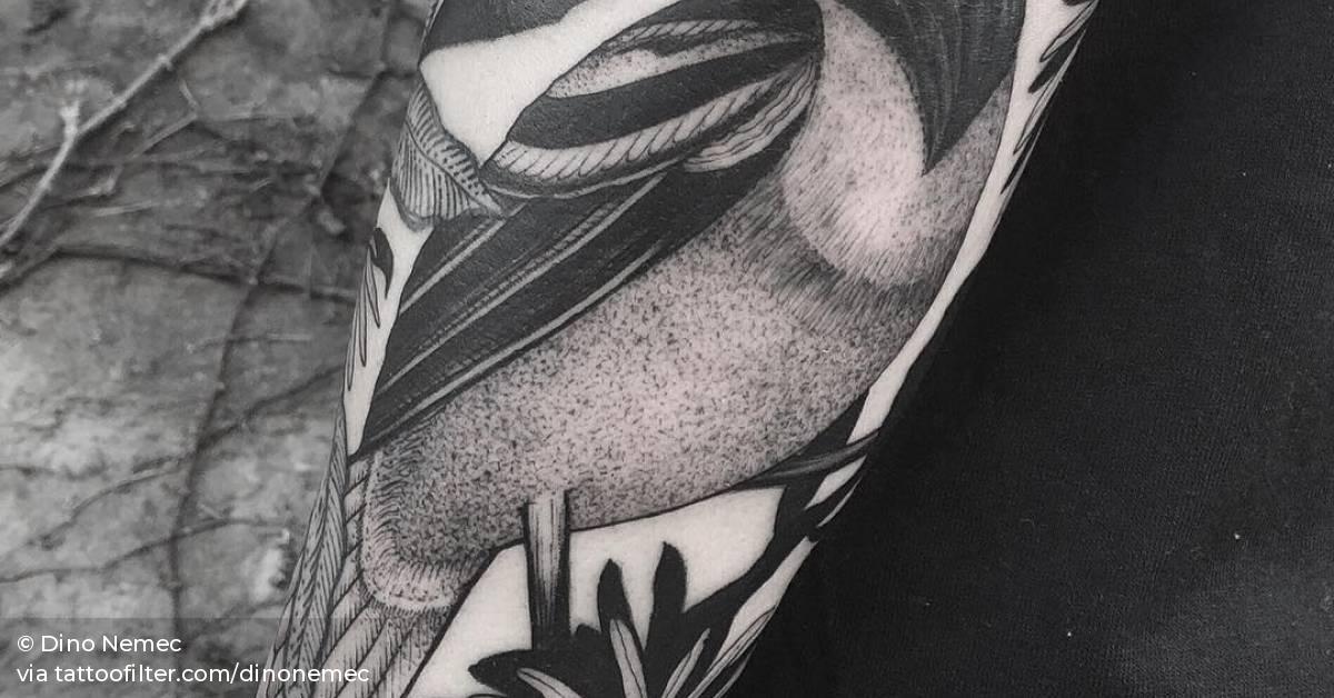 Oriole and black eyed Susan, state bird and flower of