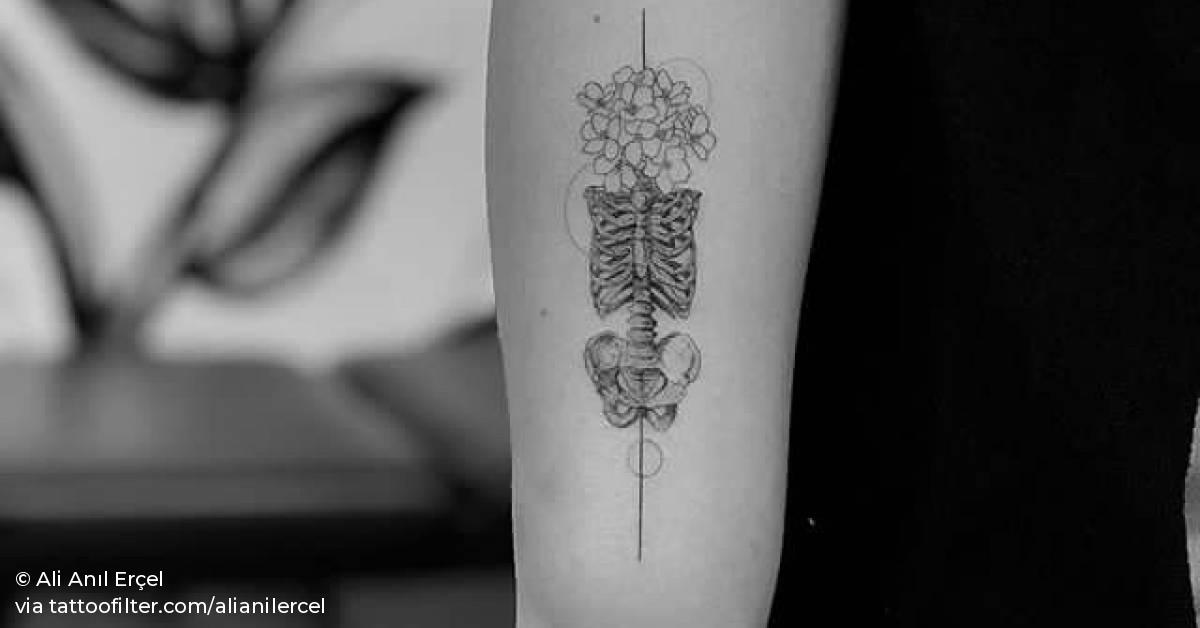skeleton