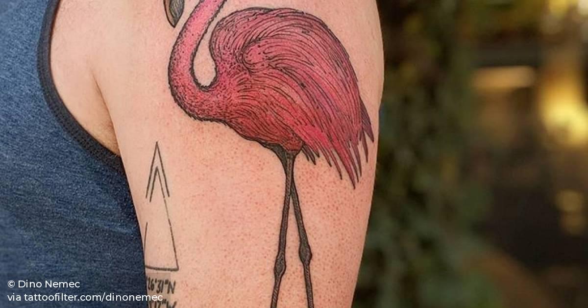 Have you ever seen a flamingo wearing Ray Bans and